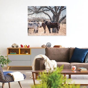 Texas Longhorn Print, Longhorn Photo, Horse Photography, Landscape ...