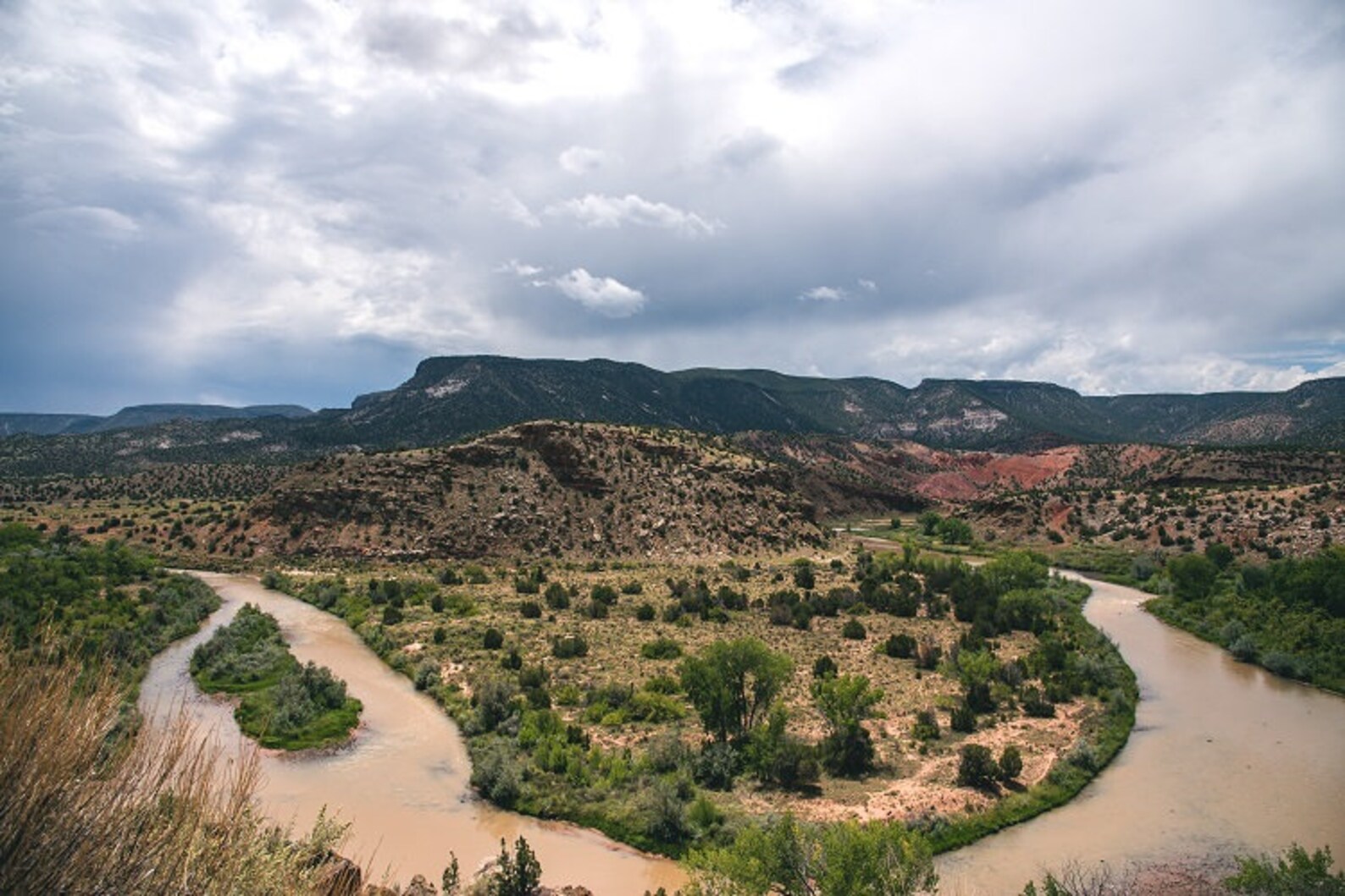 New Mexico Photography, Landscape Photo, Brazos River, Pine Trees, New ...