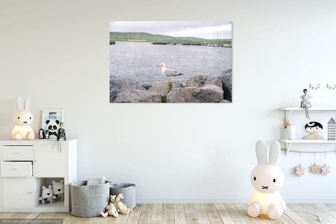 Dingle Ireland Photo, Bird Print, Boat Photo, Seagull, Dingle Bay ...