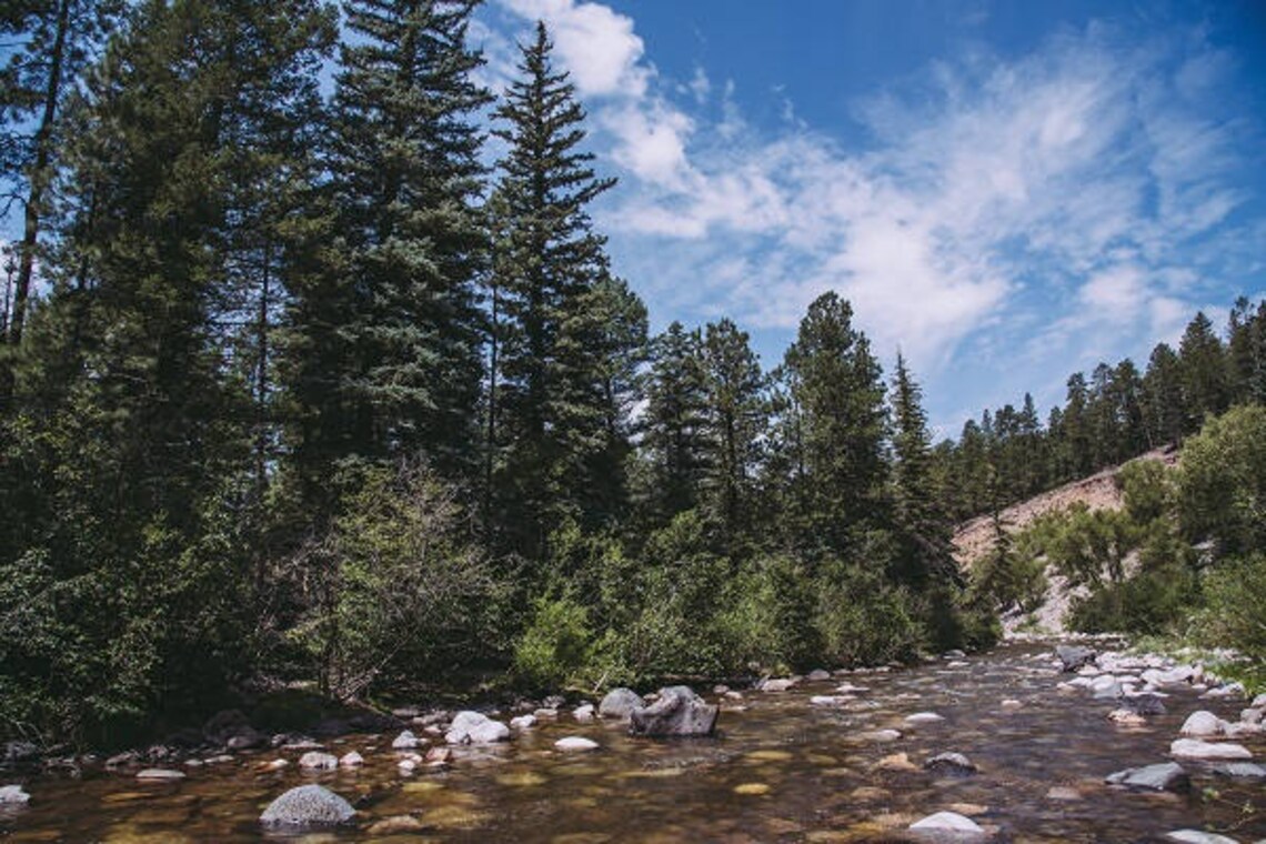 New Mexico Photography, Brazos River, Pine Trees, New Mexico Print, New ...