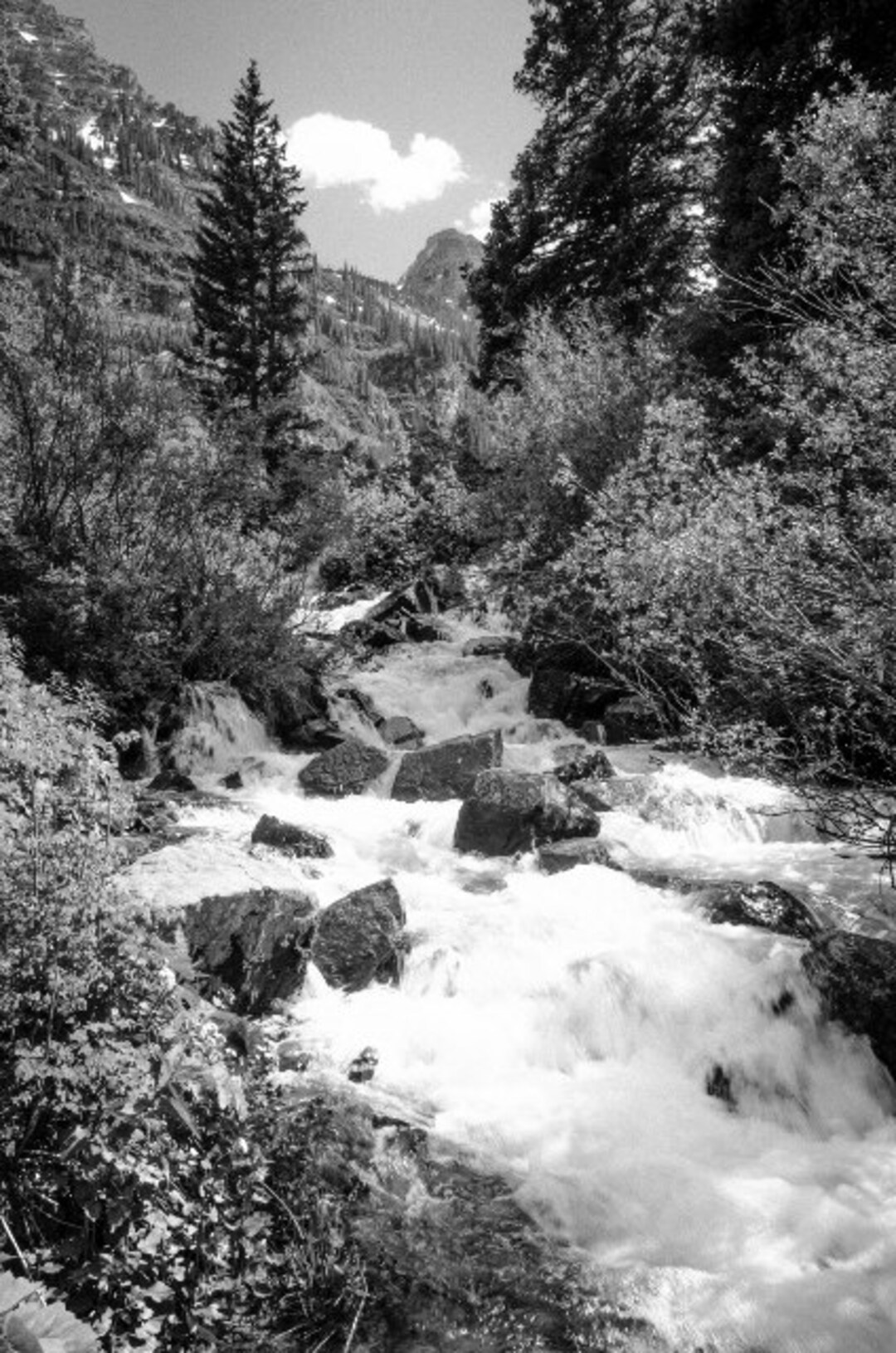Aspen Colorado, Waterfall, Running Water, Stream Photo, Lake Trees ...