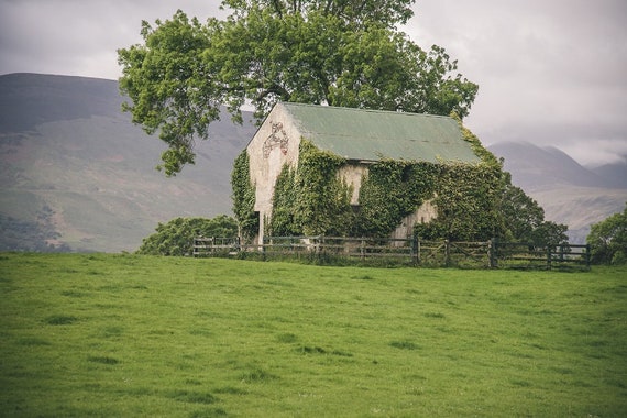 Vine Covered Country Cottage Irish Free Misty Irish Cottage Image