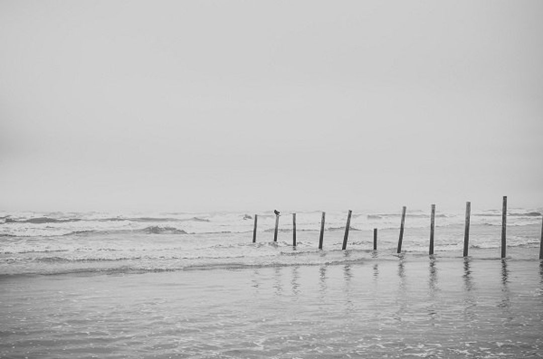 Ocean Wood Posts, Beach Wood Pillars, Seaside Pier, Galveston Texas ...