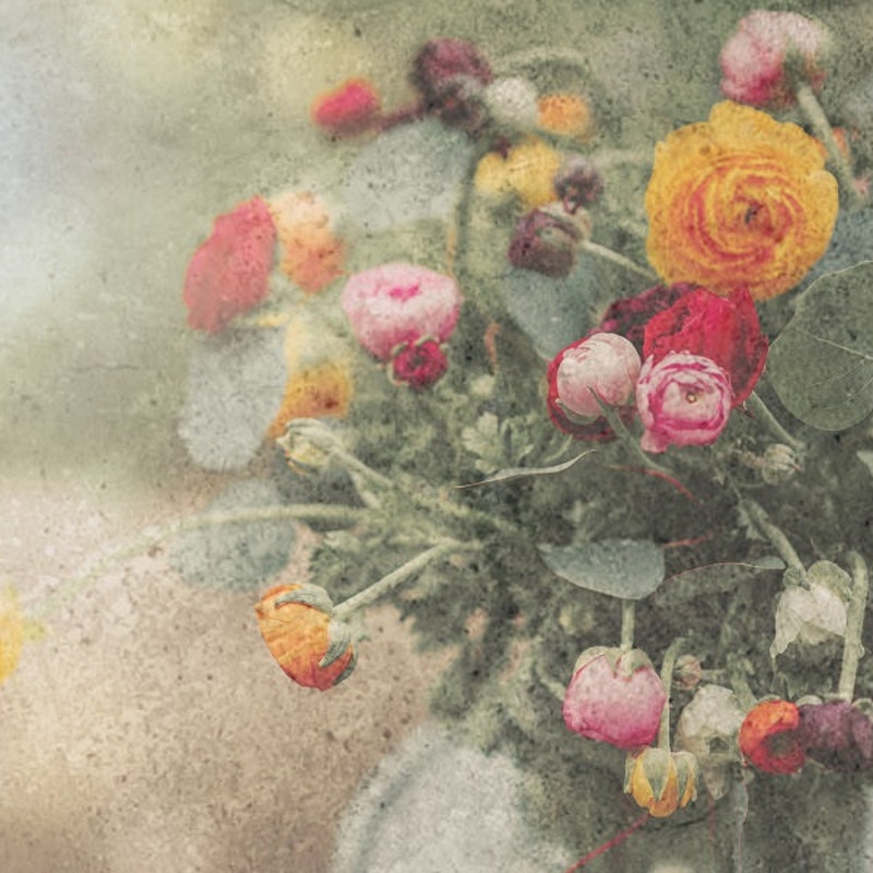 Ranunculus Art - Etsy
