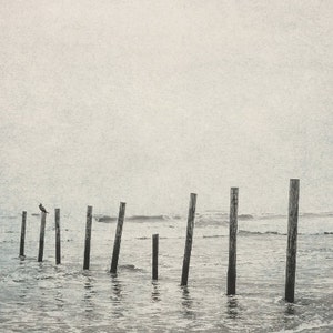 Ocean Wood Posts Beach Wood Pillars Seaside Pier Galveston - Etsy