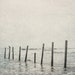 Ocean Wood Posts, Beach Wood Pillars, Seaside Pier, Galveston Texas ...