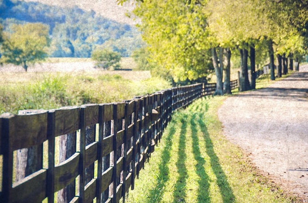Country Landscape Print, Barn Photography, Farm Decor, Tennessee, White ...