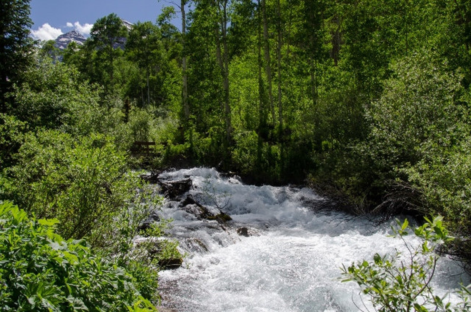 Aspen Colorado, Waterfall, Running Water, Stream Photo, Lake Trees ...
