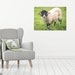 Ireland Photo, Ram Photo, Sheep, Country Decor, Irish Decor, Ireland ...