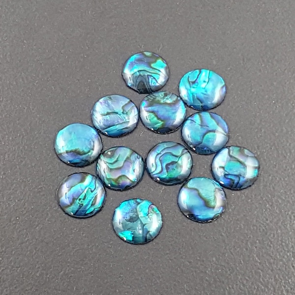 Blue Abalone Shell - Etsy