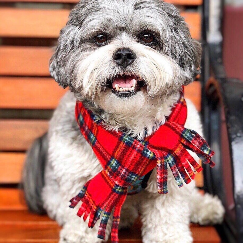 Dog Scarf - Etsy