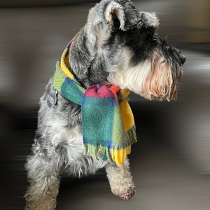 Tartan Fleece Dog Scarf: Multi-colored Check, Fringed Pet Accessory - Etsy