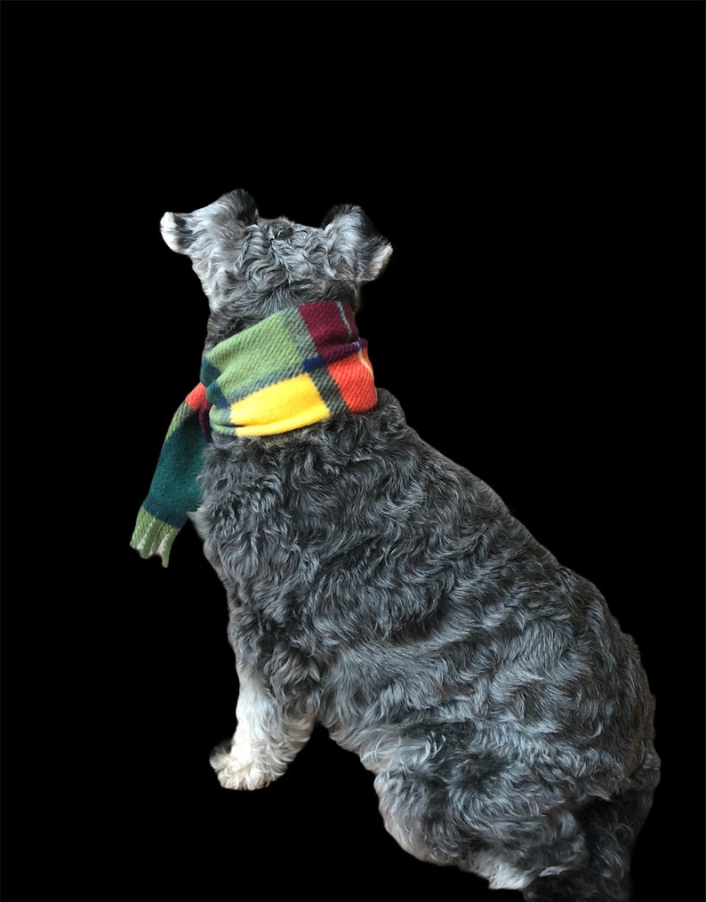 Tartan Dog Scarf Multi Coloured Check Scarves for Dogs - Etsy