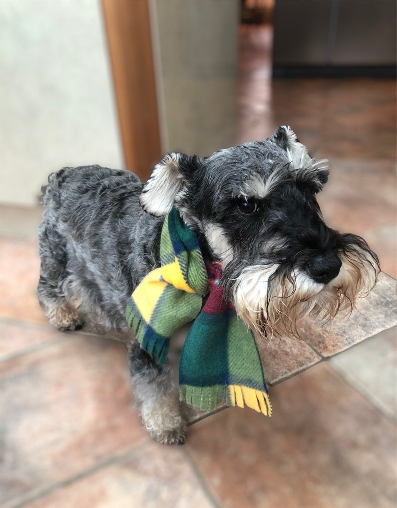 Tartan Dog Scarf Multi Coloured Check Scarves for Dogs | Etsy