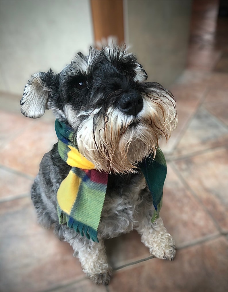 Tartan Fleece Dog Scarf: Multi-colored Check, Fringed Pet Accessory - Etsy