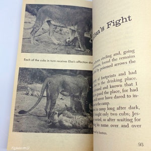 Living Free by Joy Adamson Scholastic Books 1972 - Etsy