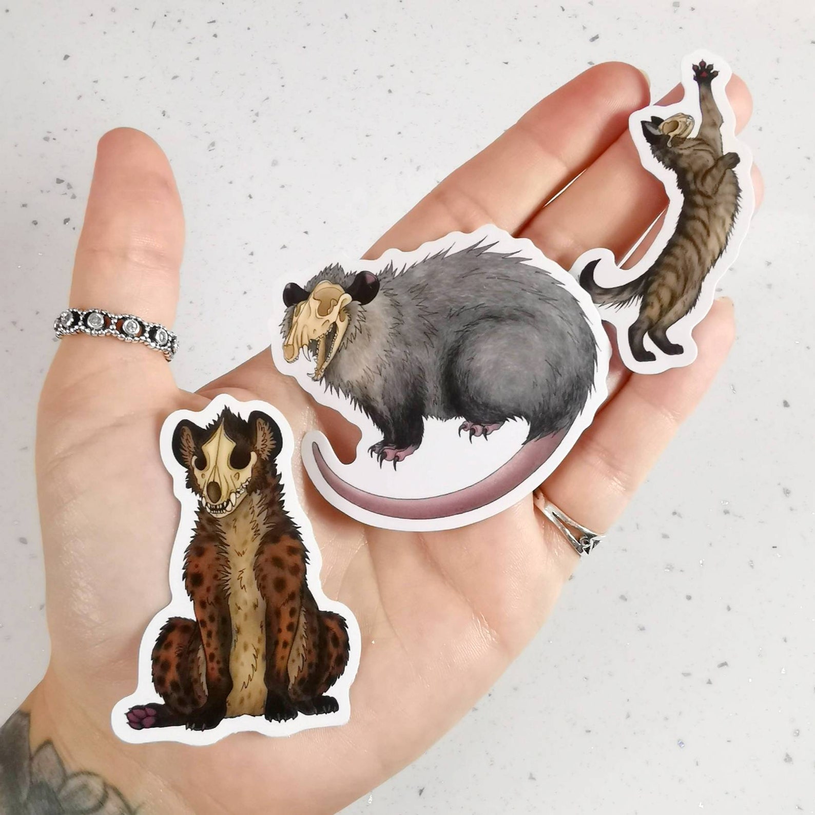 Boney Babies Cute Animal Skull Vulture Culture Matte - Etsy