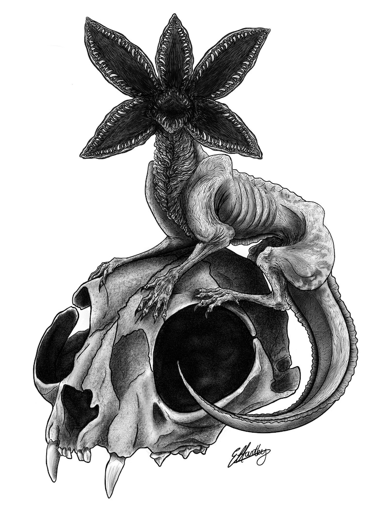 Stranger Things Dart & Cat Skull A4 / A5 Print Demogorgon - Etsy