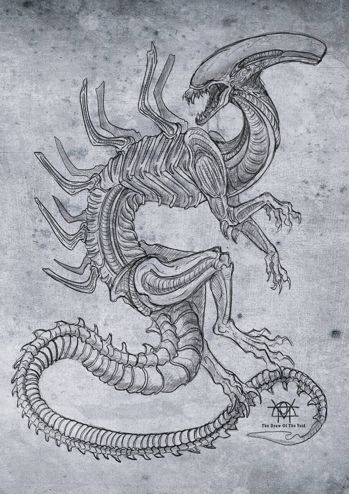 Xenomorph X Dragon Sketch A4 Print | Eastern Oriental Dragon | Alien ...