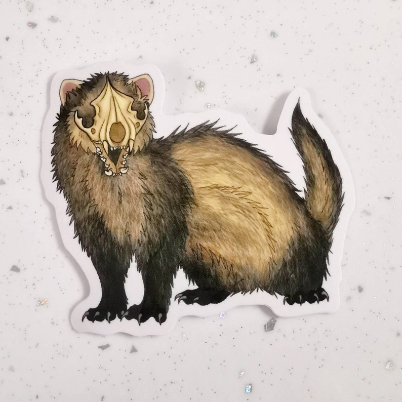 Boney Babies Cute Animal Skull Vulture Culture Matte - Etsy