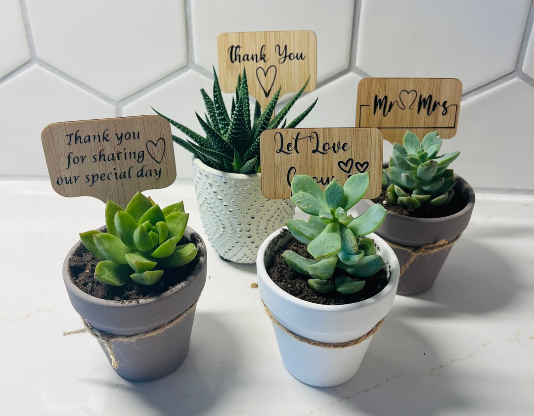 Personalized Plant Inserts for Party Favors - Etsy