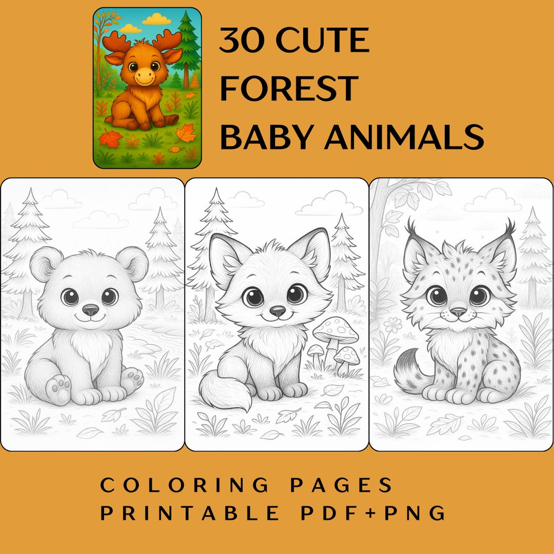 Forest Animals Coloring Book | 30 Woodland Pages (printable PDF/PNG) - Etsy