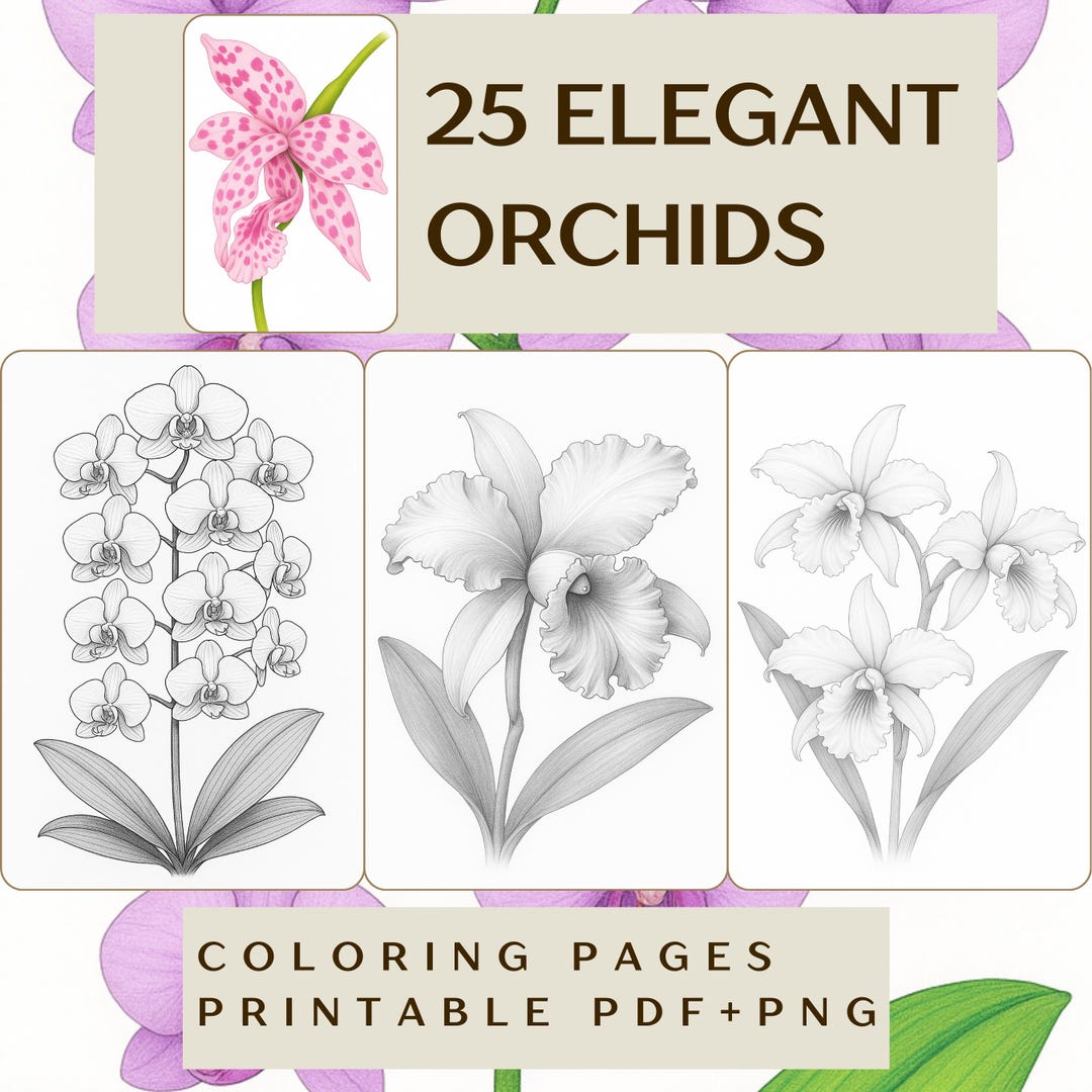 Orchid Coloring Book: 25 Elegant Botanical Pages (PDF & PNG Digital ...