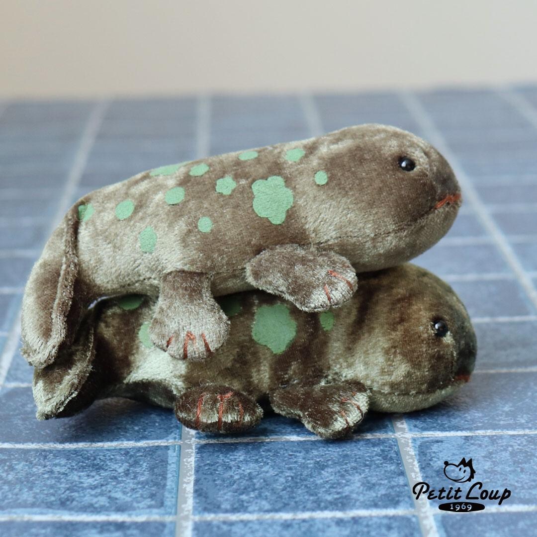 Japanese Giant Salamander Plush Toy Magnet -mini Plushies, Amphibian ...