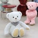 Dancer Gift Ballet Tutu Plush- Dance Recital Gifts, Teddy Bear, White ...
