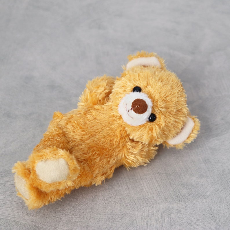 Lab Bear Mini Bear, Kawaii, Keychain, Mascot, Plush, Small Teddy Bear ...