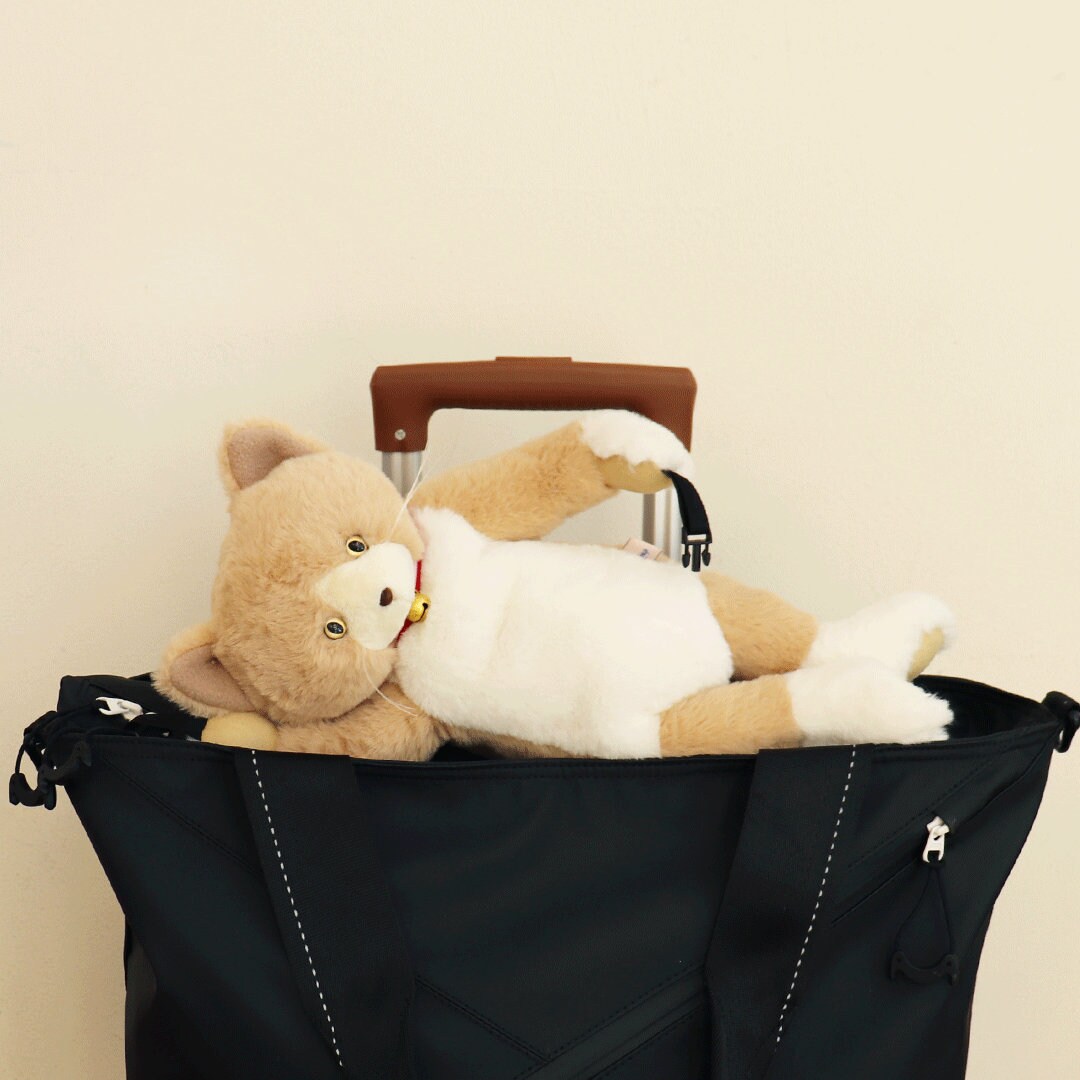 Carry-on Cat Plush Bag Plushie Toy Bag, Travel Bag, Black Cat Bag, Kids ...