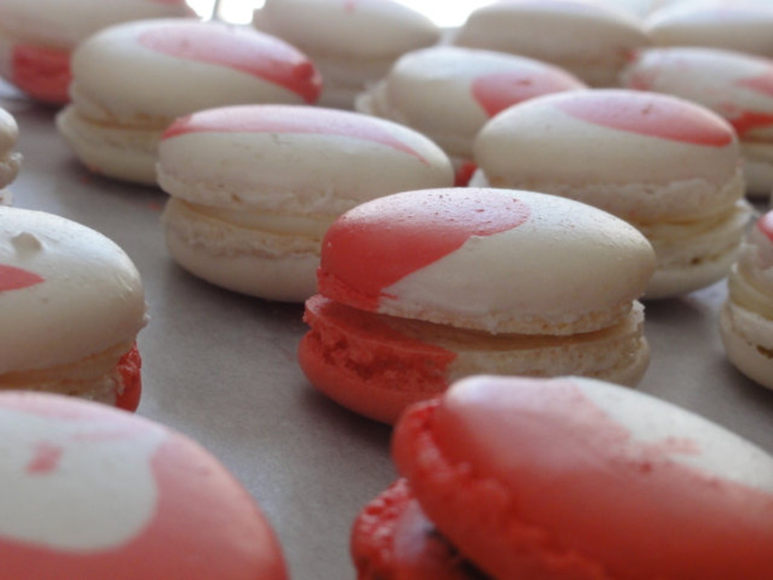 1dozen/12 Gluten Free Macarons French Macarons French - Etsy