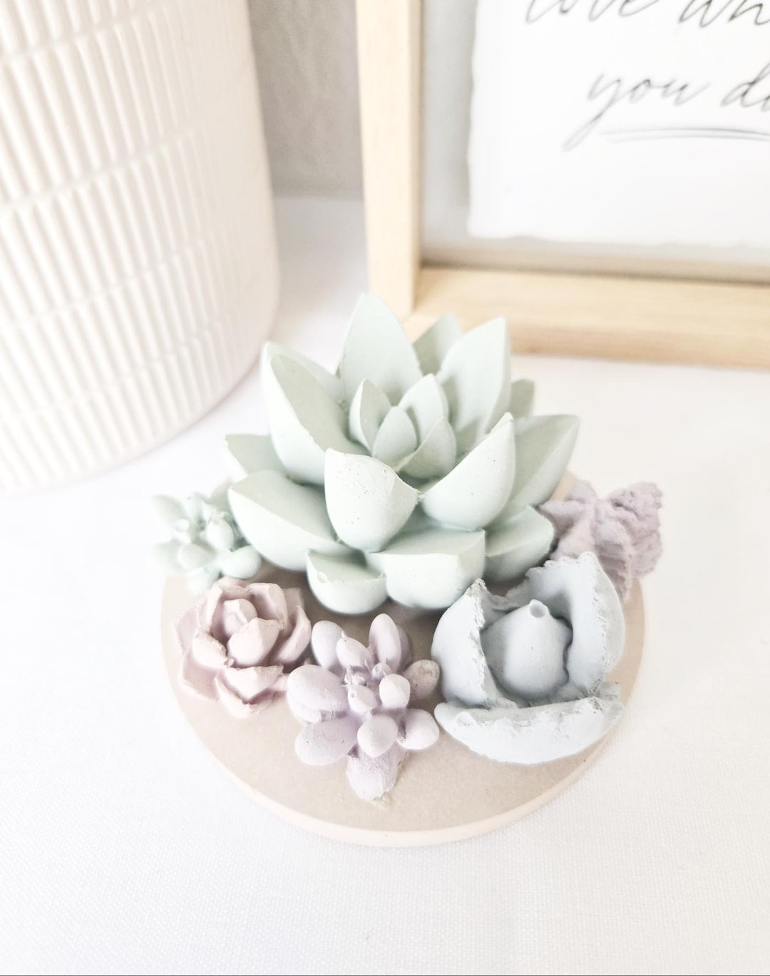 Succulent Concrete Diffuser- for Essential Oils - Fragrance Oils- Cute ...