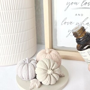 Pumpkins Concrete Diffuser- for Essential Oils - Fragrance Oils- Cute ...
