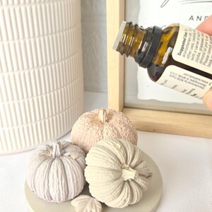 Pumpkins Concrete Diffuser- for Essential Oils - Fragrance Oils- Cute ...