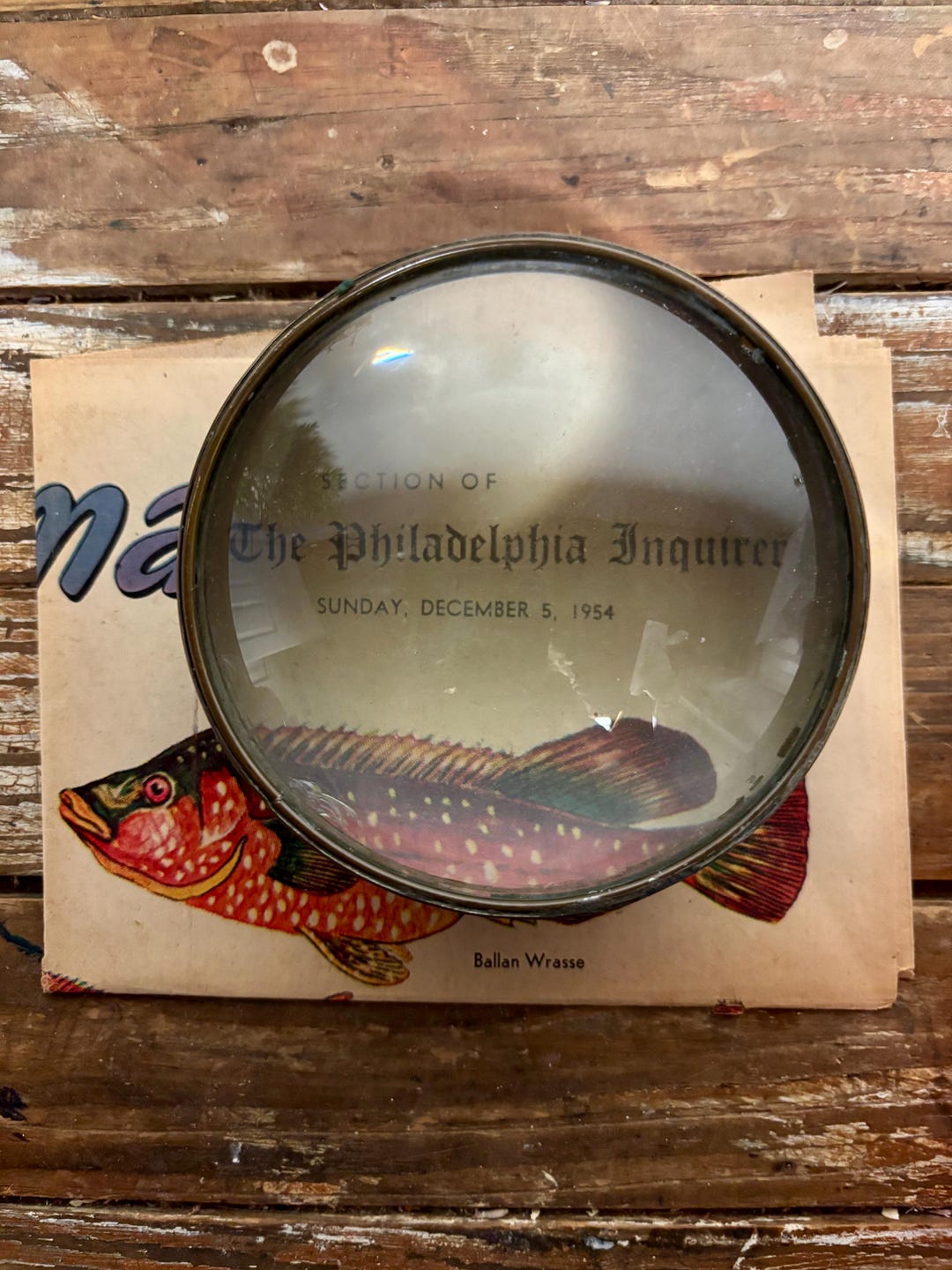 Vintage Copper Magnifying Glass Blob…reading. Metal. Magnification ...