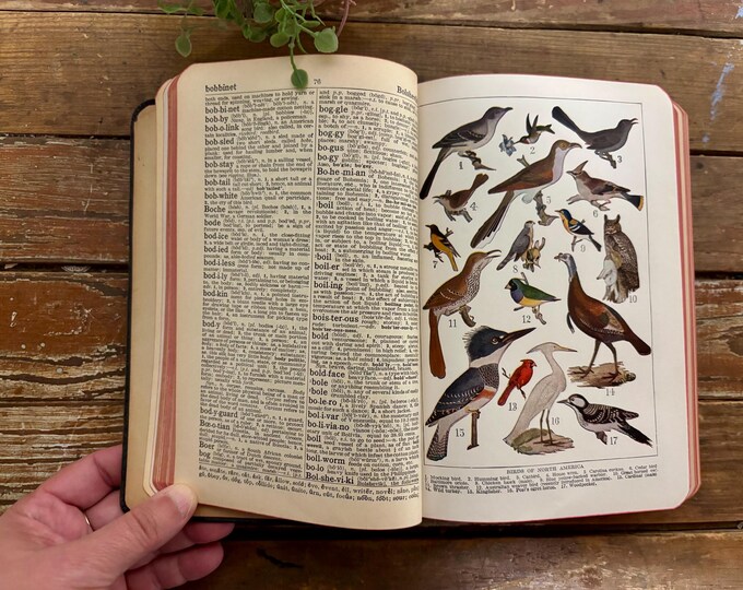 Antique Book “the Universal Handbook”...encyclopedia. Dictionary ...