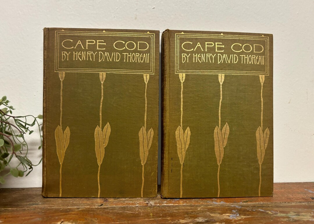 Antique “cape Cod” Book Set…henry David Thoreau. 1896. Illustrated ...