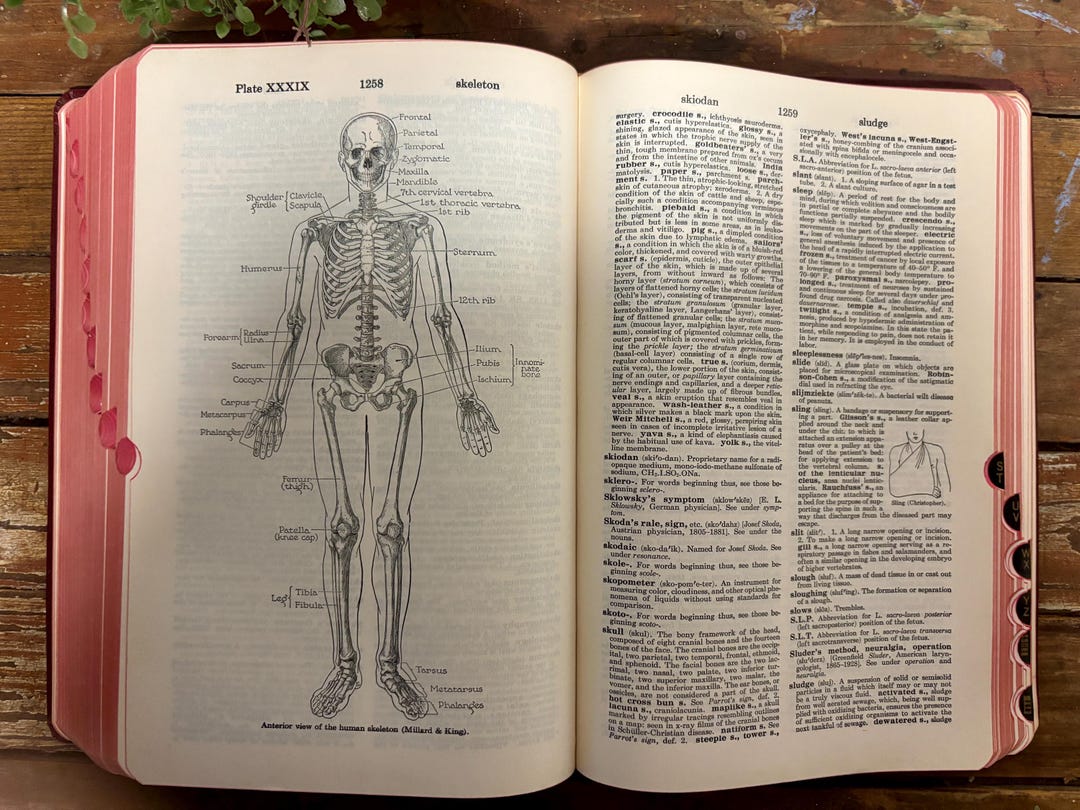Vintage "dorland's Illustrated Medical Dictionary" Book..1957. Medicine ...