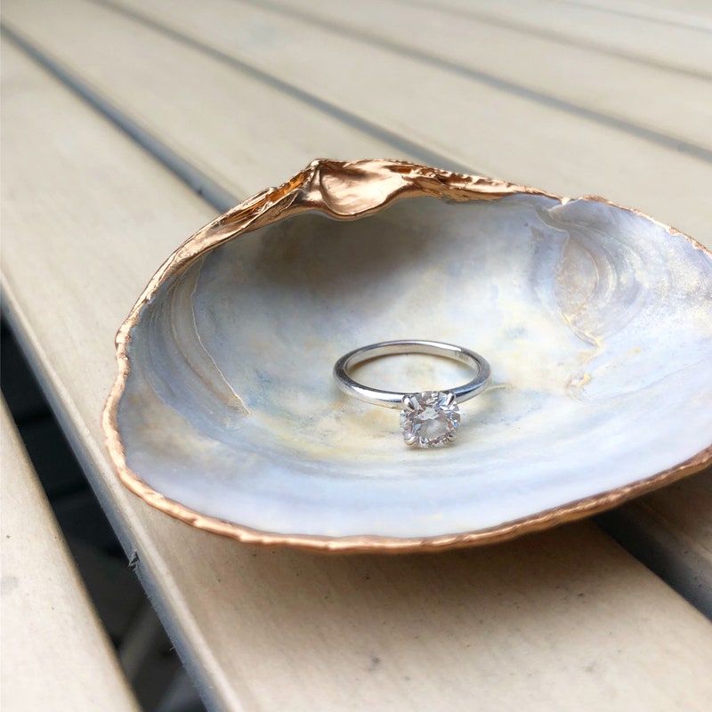 Sea Shells Jewelry - Etsy