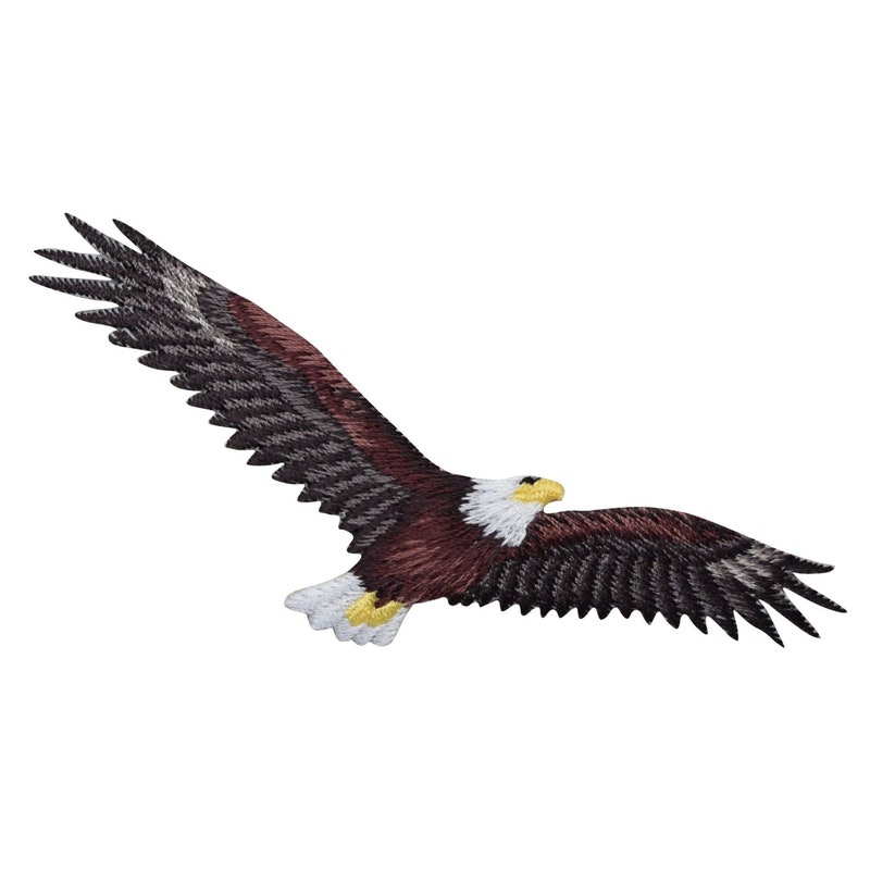 Soaring Eagle - Etsy