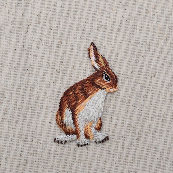 Jack Rabbit - Etsy