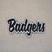 Badgers - LARGE 3x8 - Color Choice - Mascot/team Name/words - Iron on ...