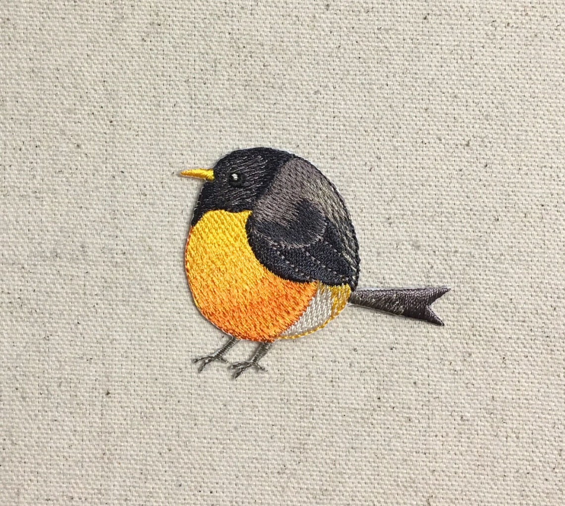 Chubby Robin American Bird Spring/nature Iron on - Etsy