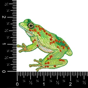 Tree Frog - Shimmery Green - Iron on Patch - Embroidered - Etsy