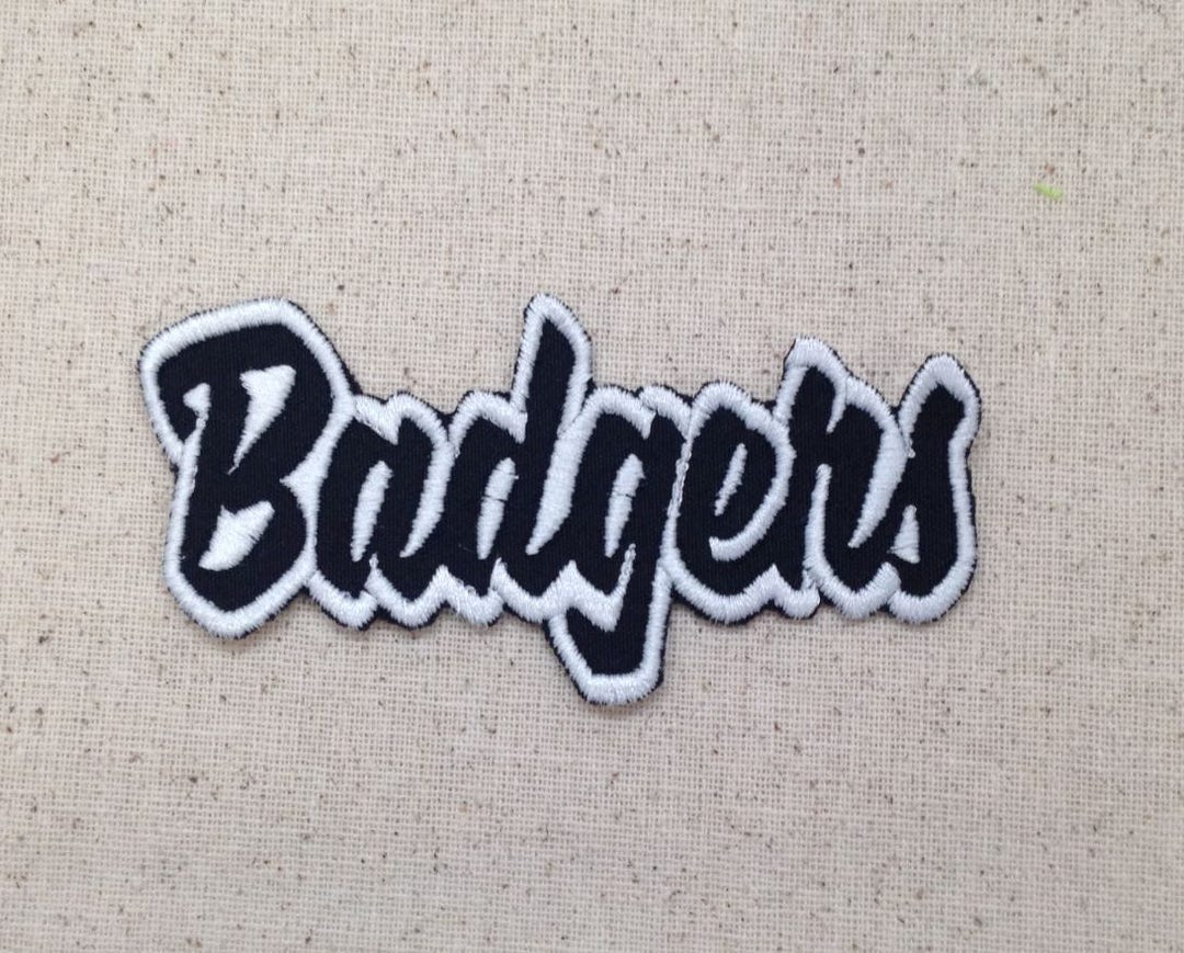 Badgers - Color Choice - Mascot - Team Name - Words - Iron on Applique ...