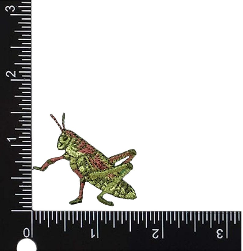 Grasshopper Embroidered Iron on Patch - Etsy
