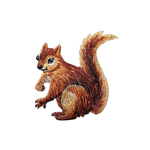 Squirrel Applique - Etsy