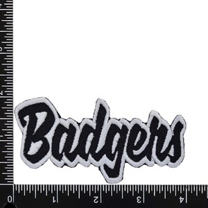 Badgers - Color Choice - Mascot - Team Name - Words - Iron on Applique ...