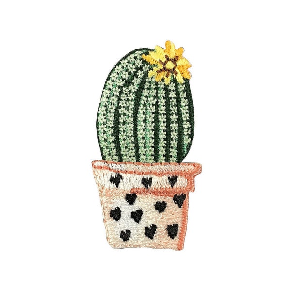 Cactus Patch - Etsy
